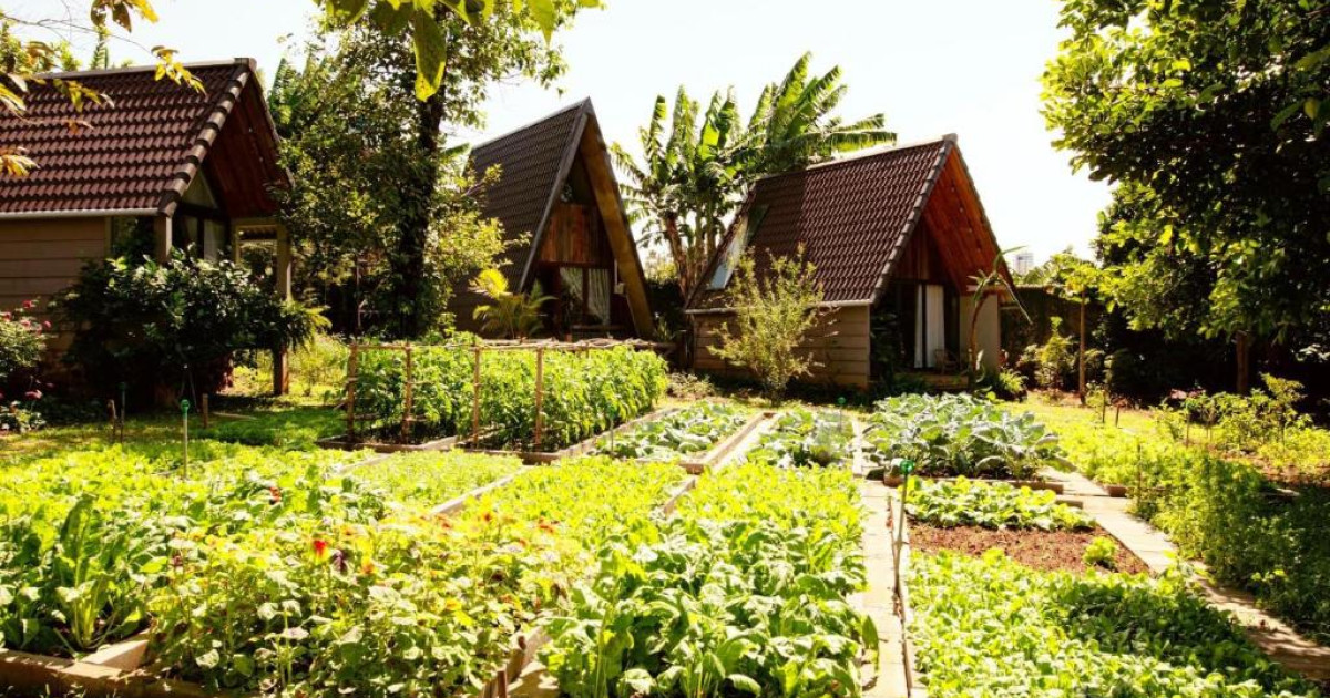 Top 9 homestay Đắk Lắk đẹp, giá rẻ, gần trung tâm được yêu thích nhất